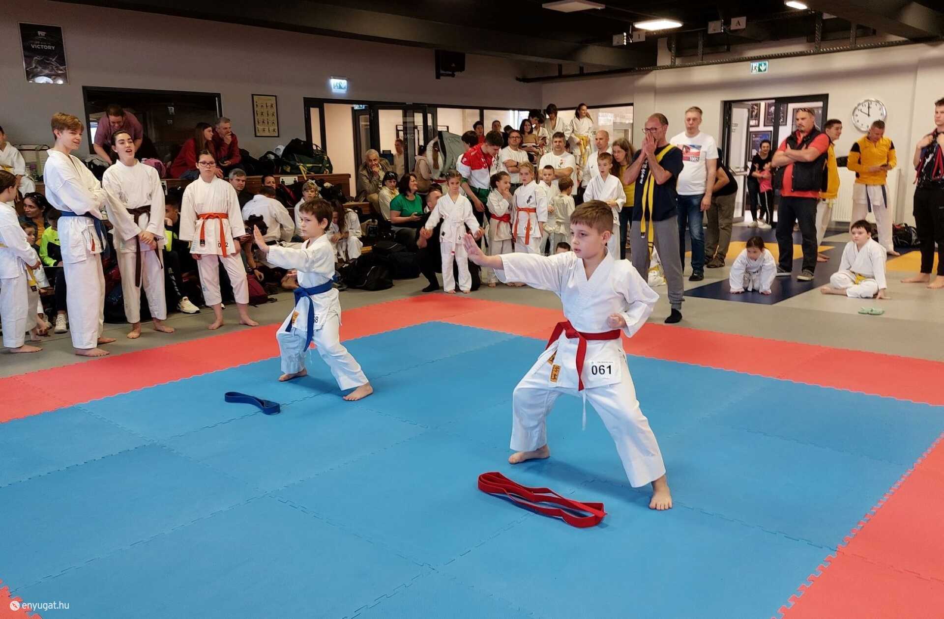 Fényes érmekért küzdöttek