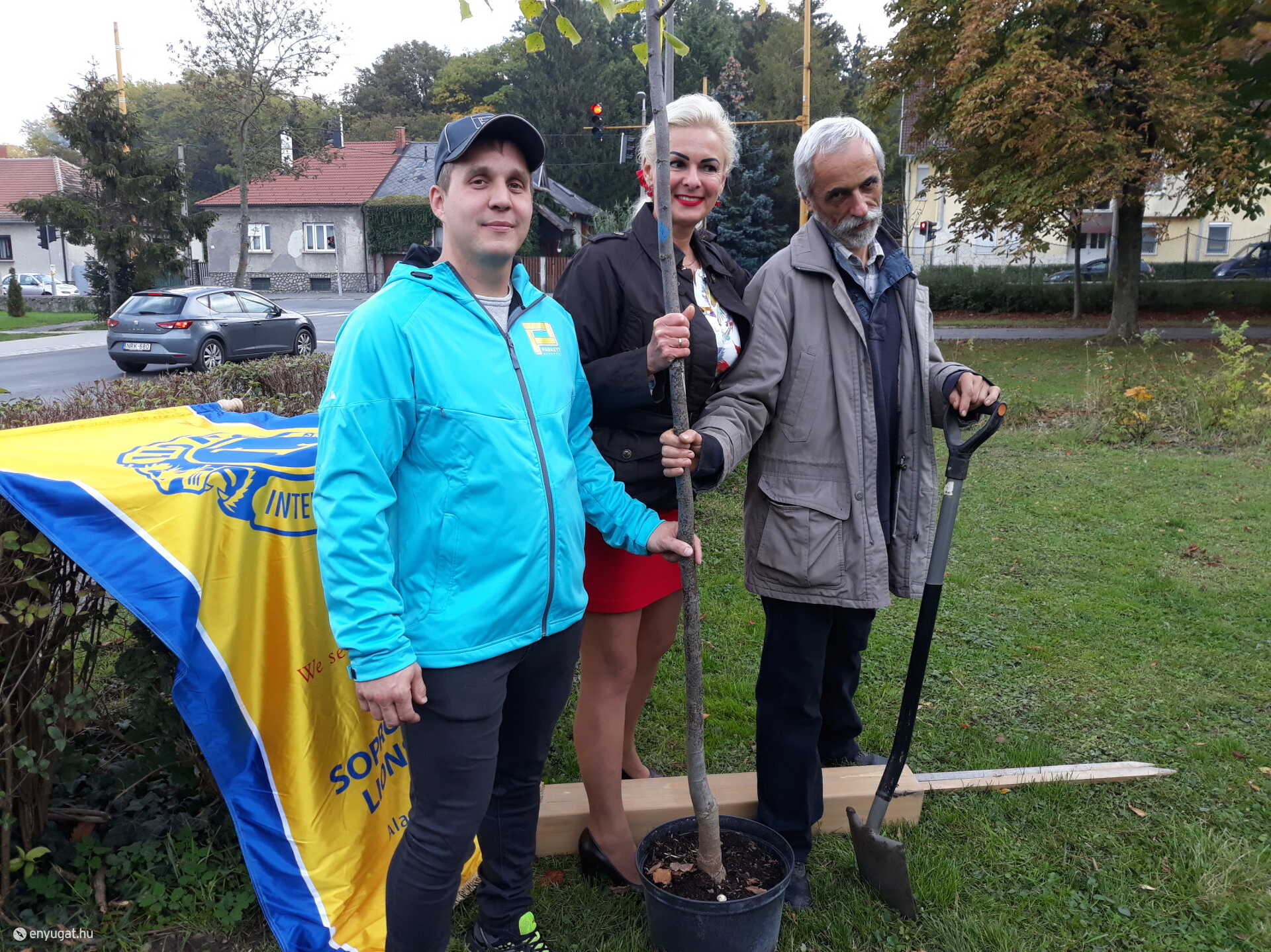 Fát ültettek lédik és urak