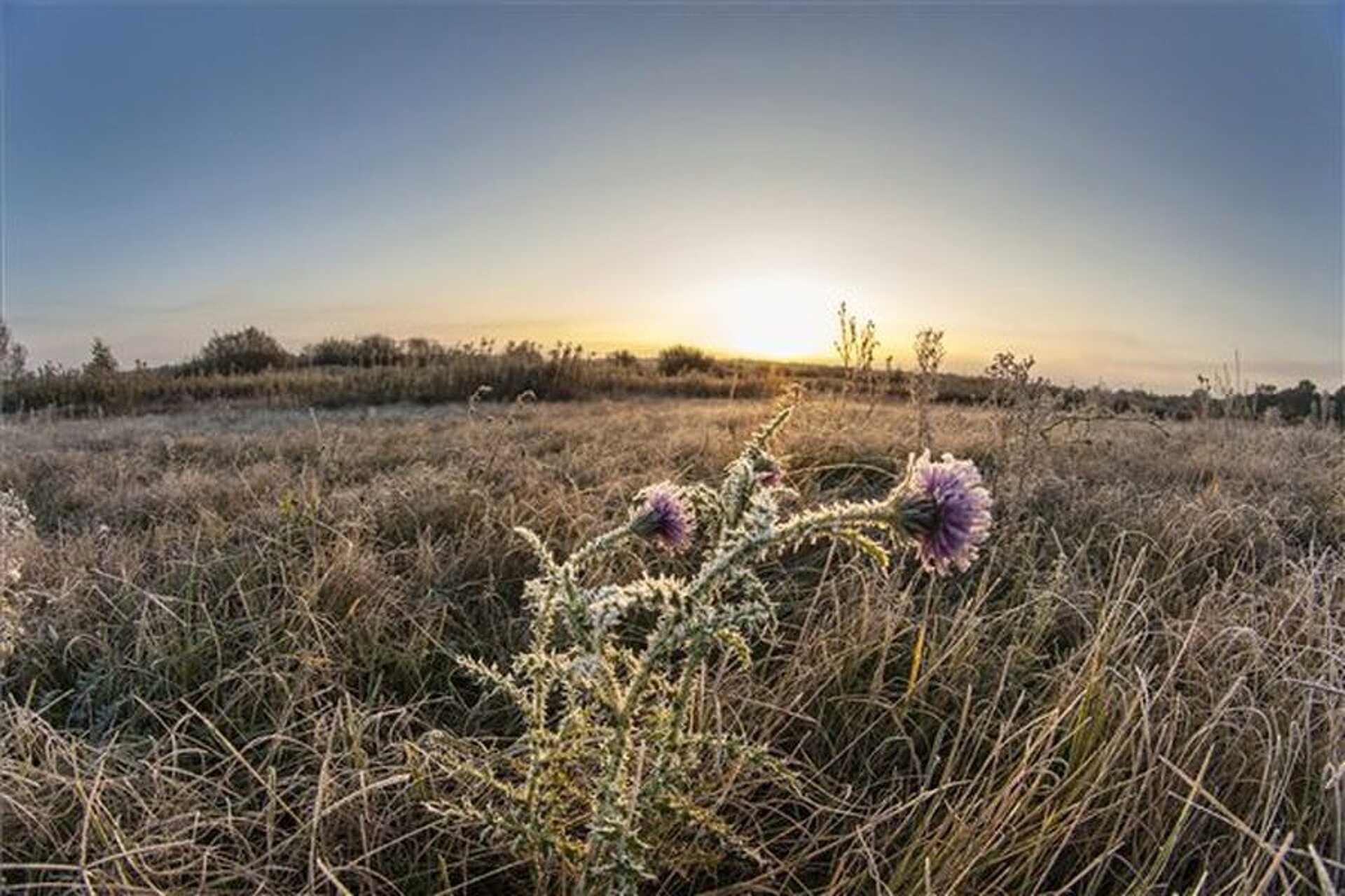 Becsüljük meg magunkat itt, ma hajnalban Zabarban majdnem fagyott